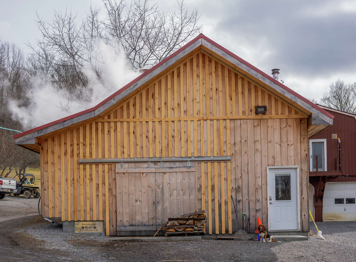 Small-scale maple sugar-makers are dealing with climate change