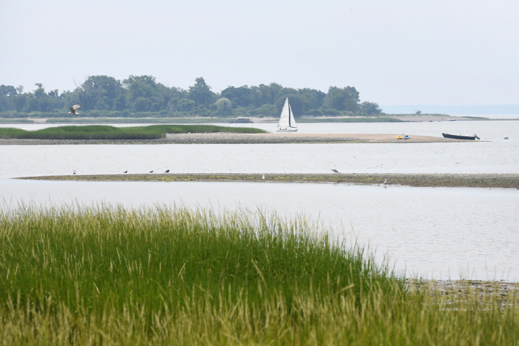 These Connecticut beaches have the cleanest water, watchdog says
