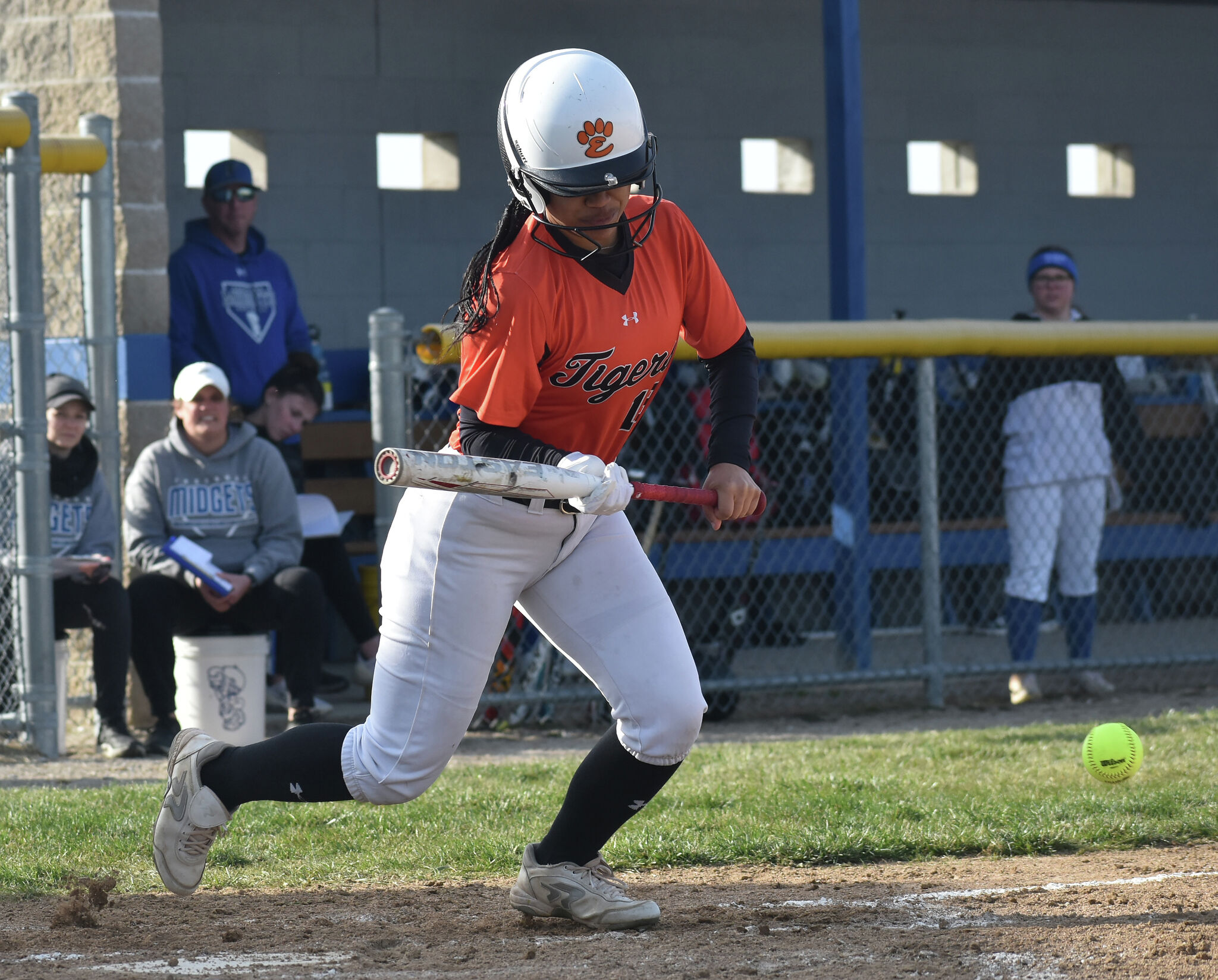 Boyd's five hits, Hawkes' five RBI power Tigers to win