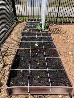 Master Gardener: How to build your own Square Foot Gardening boxes