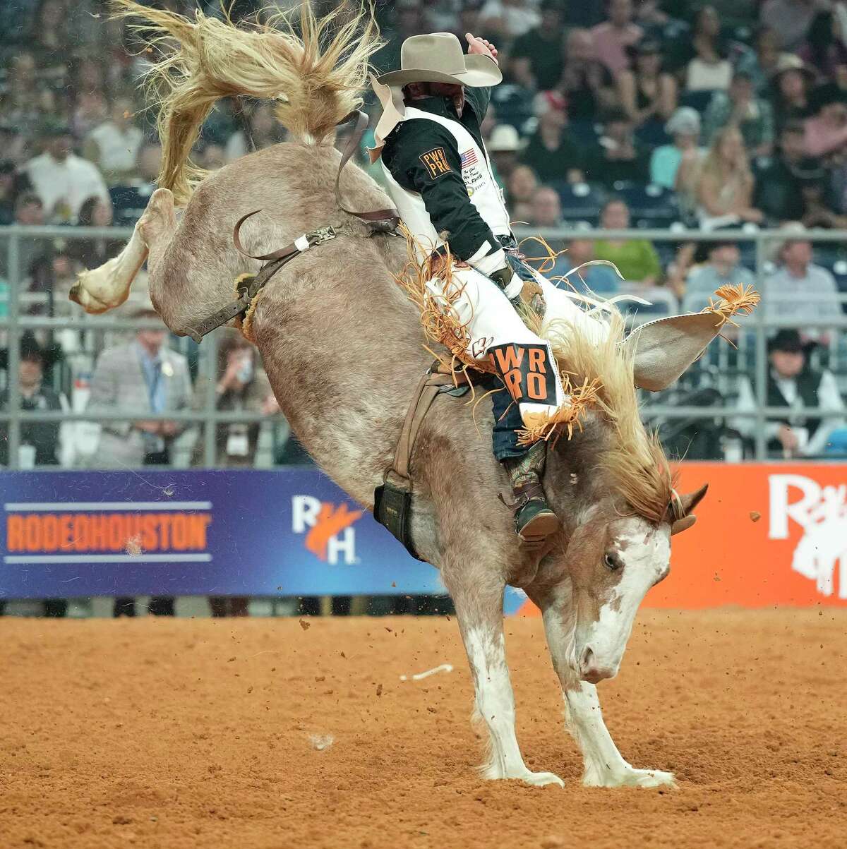 RodeoHouston: Justin Davis, Nelson Wyatt dominate in team roping