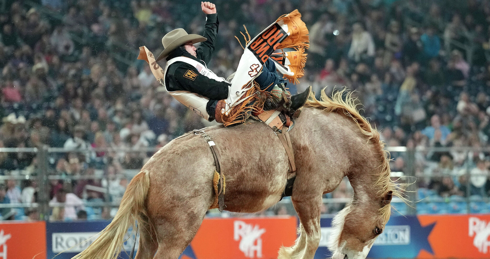 RodeoHouston: Justin Davis, Nelson Wyatt dominate in team roping