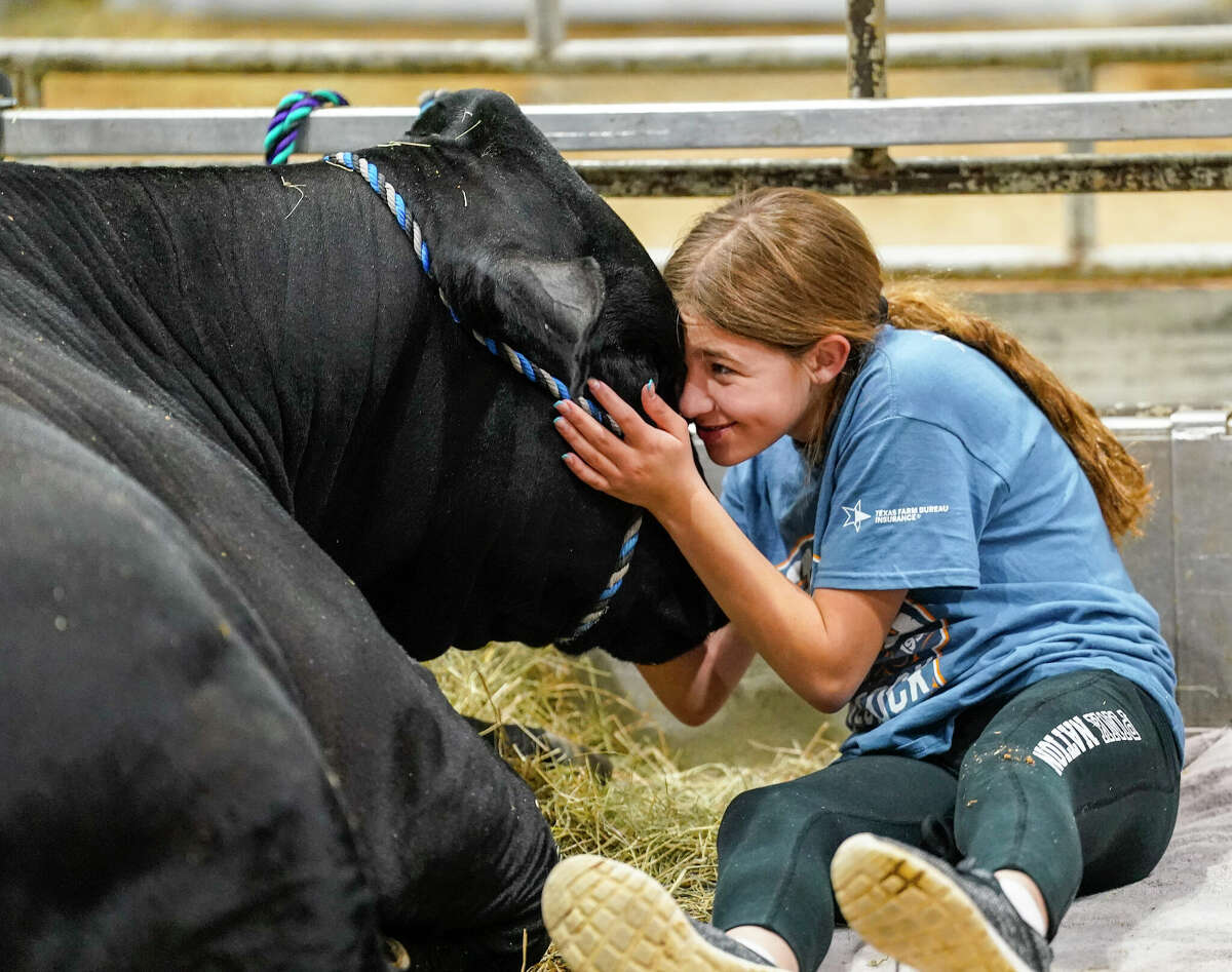 2023 Houston rodeo: What to do during the last weekend