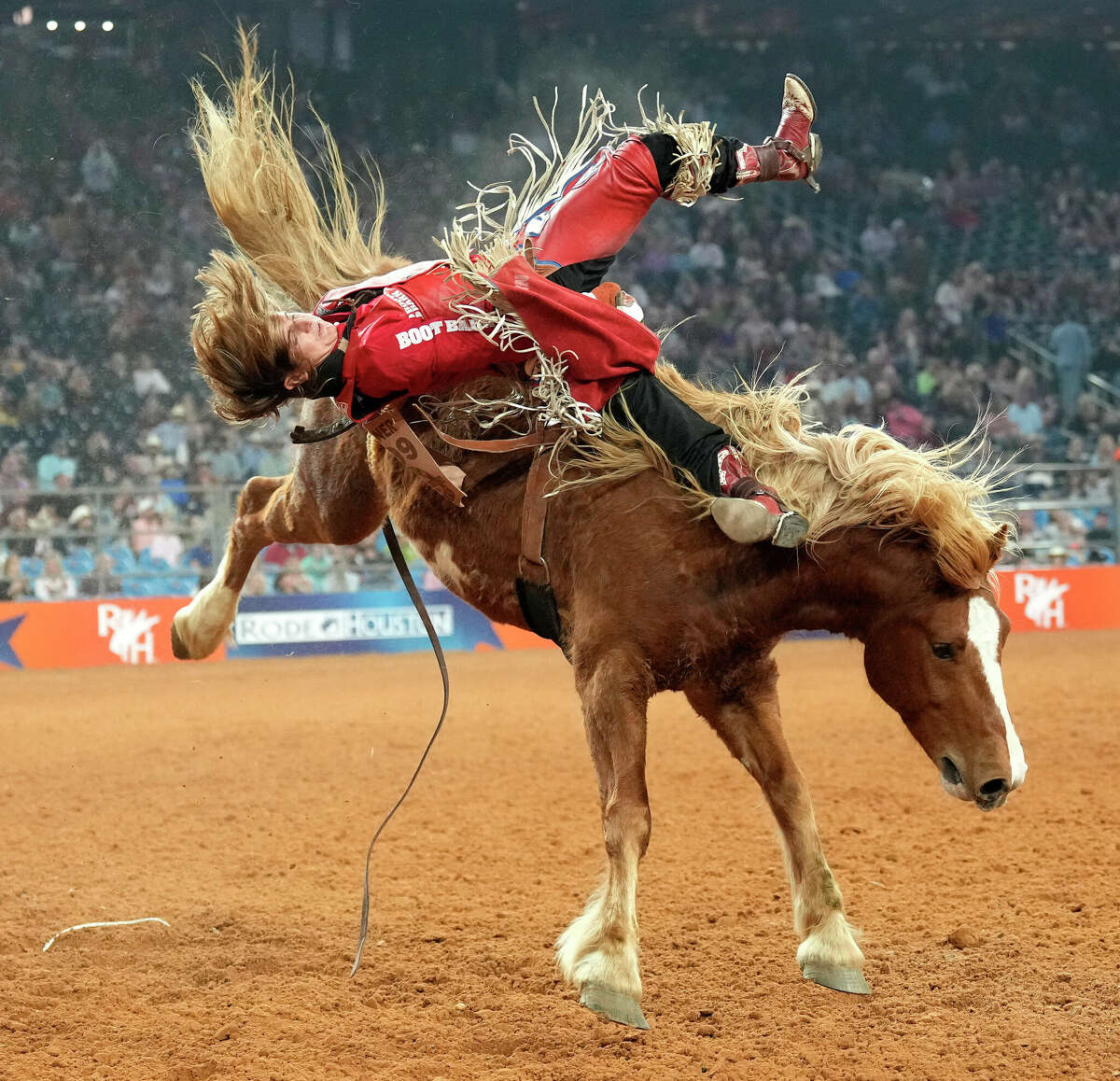 2023 Houston rodeo: What to do during the last weekend
