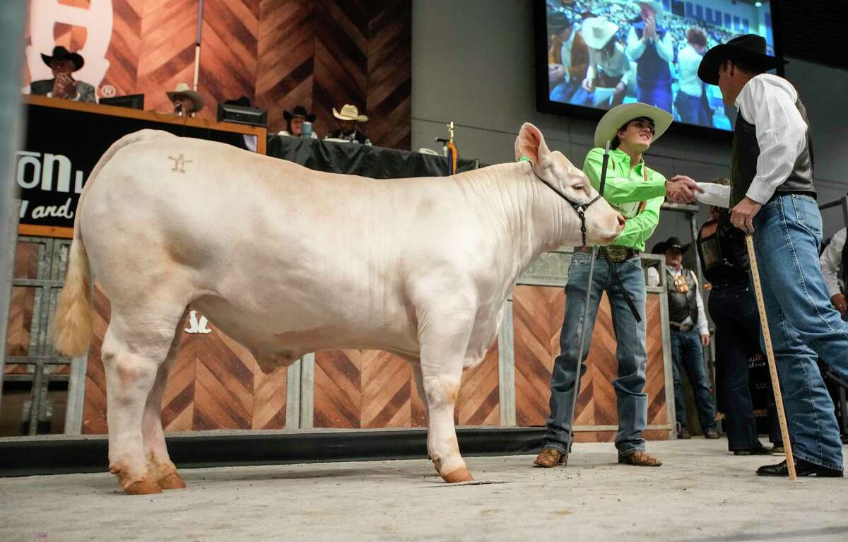 Houston Rodeo 'auction angels' champion student livestock show underdo