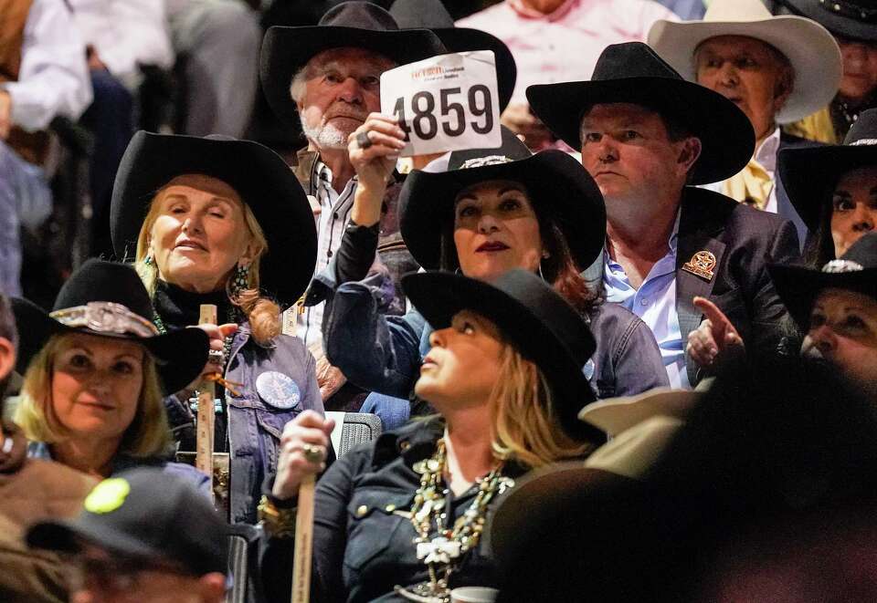Houston Rodeo 'auction angels' champion student livestock show underdo