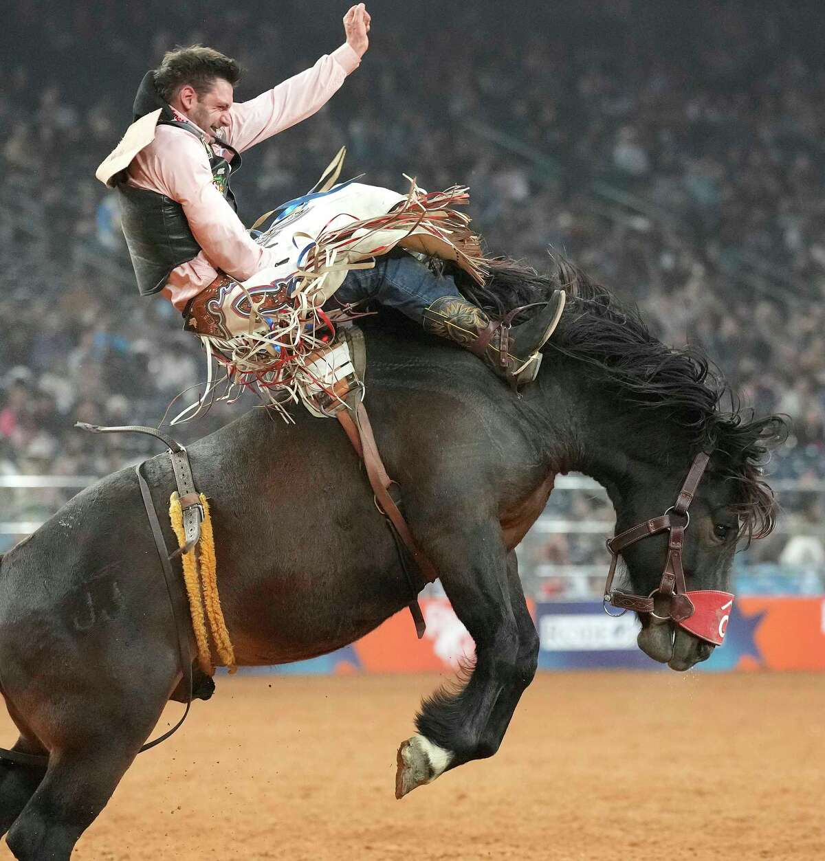 RodeoHouston: Bareback rider Sam Petersen advances to finals