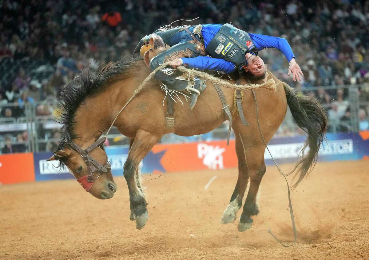 RodeoHouston: Bareback rider Sam Petersen advances to finals