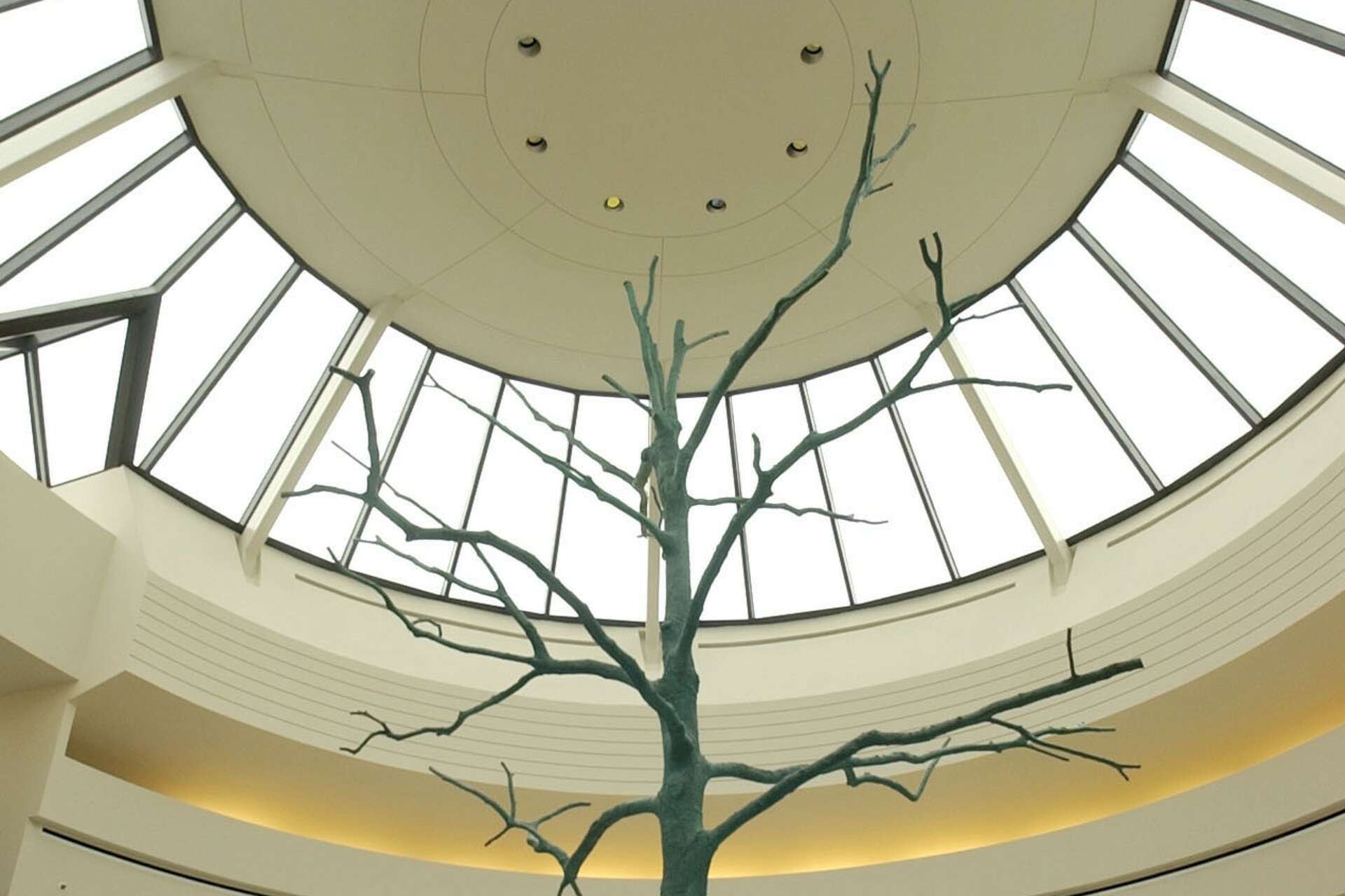 Is this Bush Airport map all wrong? Artwork sparks confusion