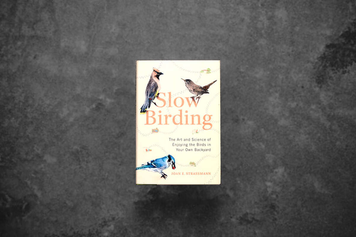 Best field guides for spring 2023 in upstate New York