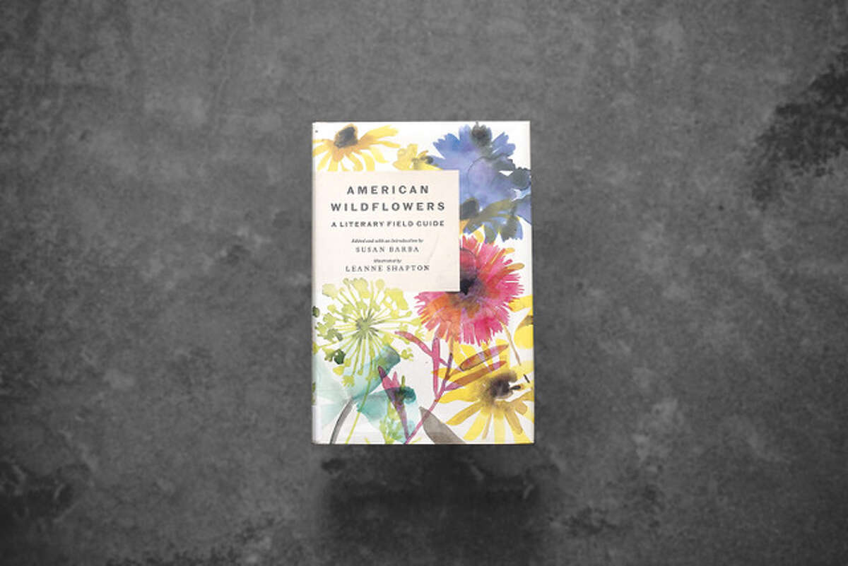 Best field guides for spring 2023 in upstate New York