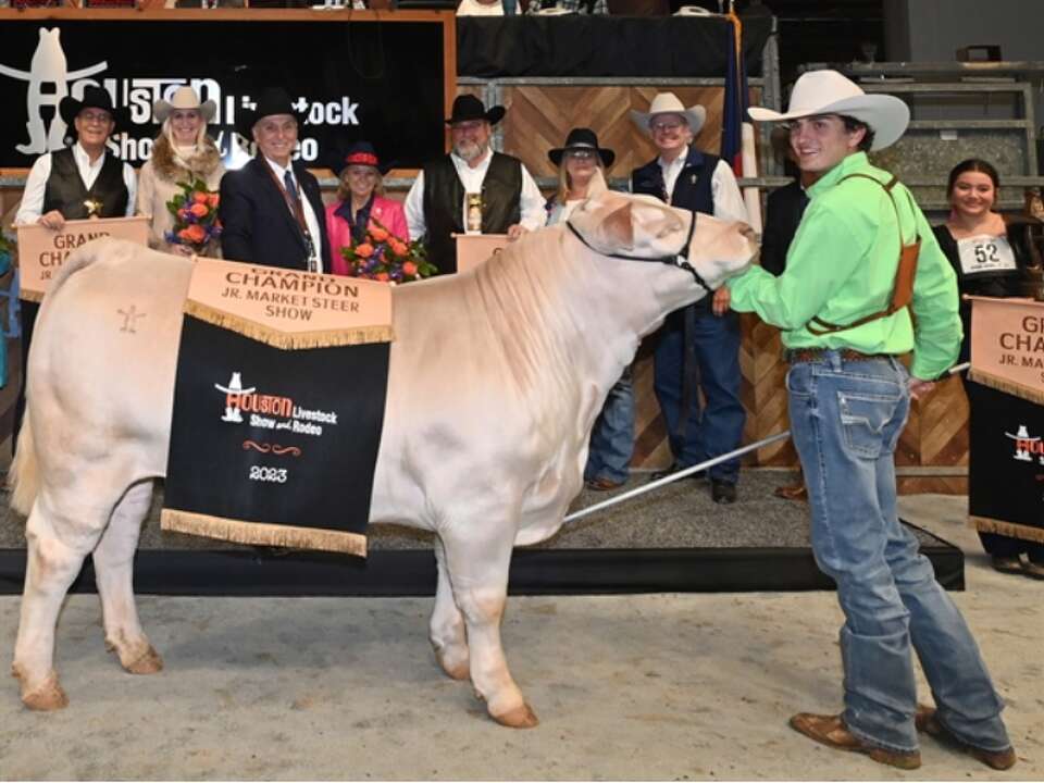 Houston Rodeo's champion steer sells for $550K to developer