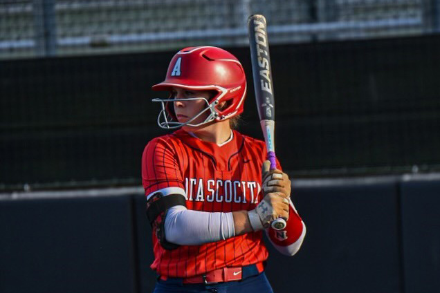 Houston high school softball top performers: Dominant showings abound