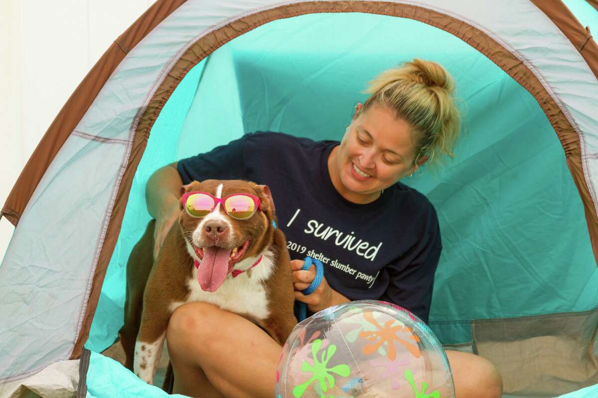 Partners for Pets hosts its Shelter Slumber Pawty March 25-26 in Troy