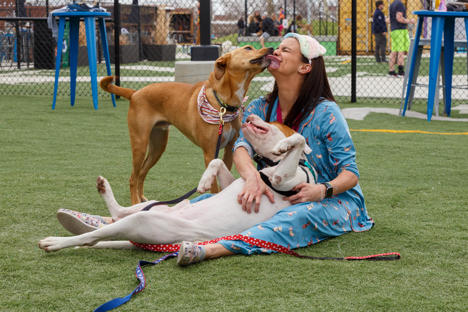 Partners for Pets hosts its Shelter Slumber Pawty March 25-26 in Troy