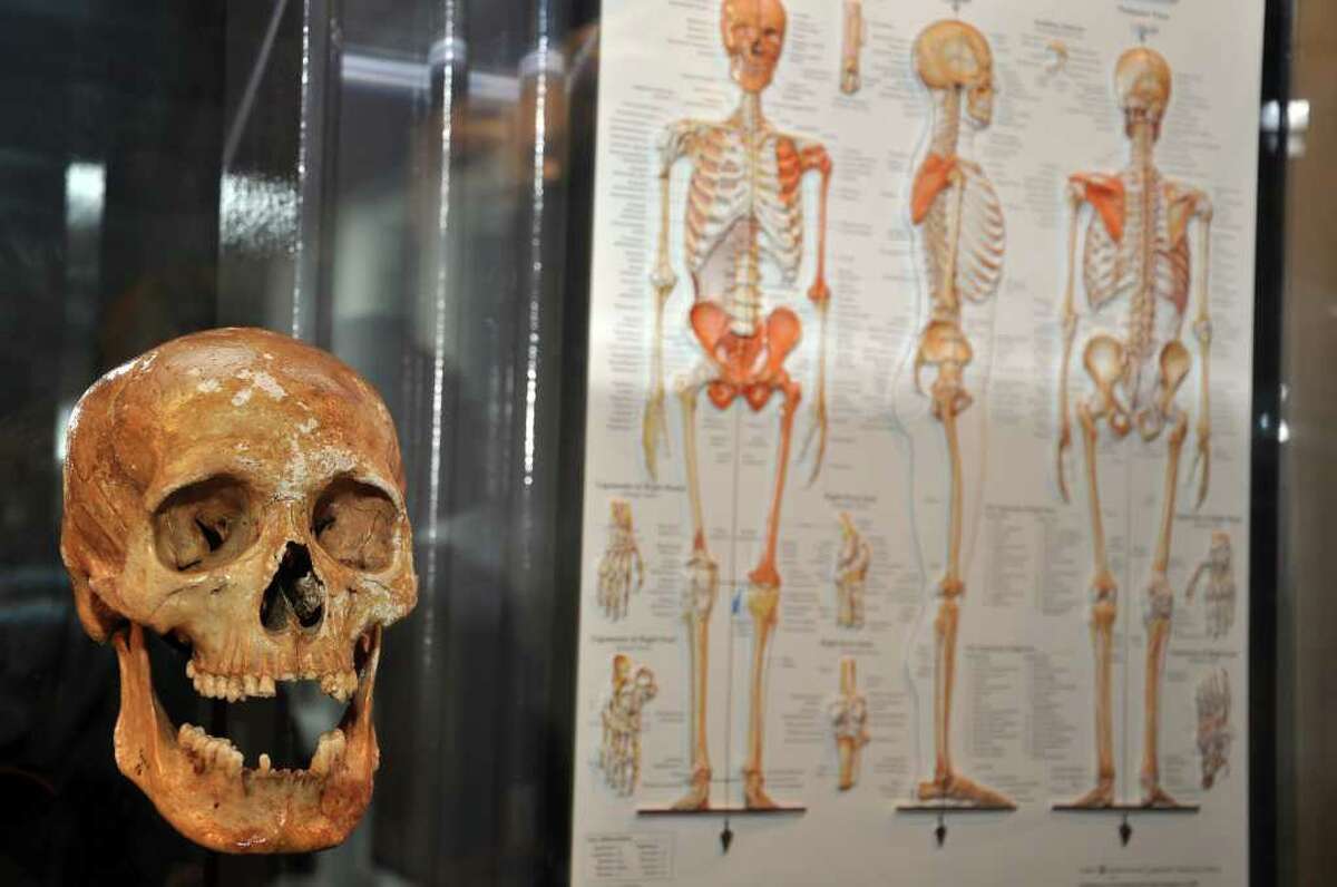 Forensic center named for Dr. Henry Lee