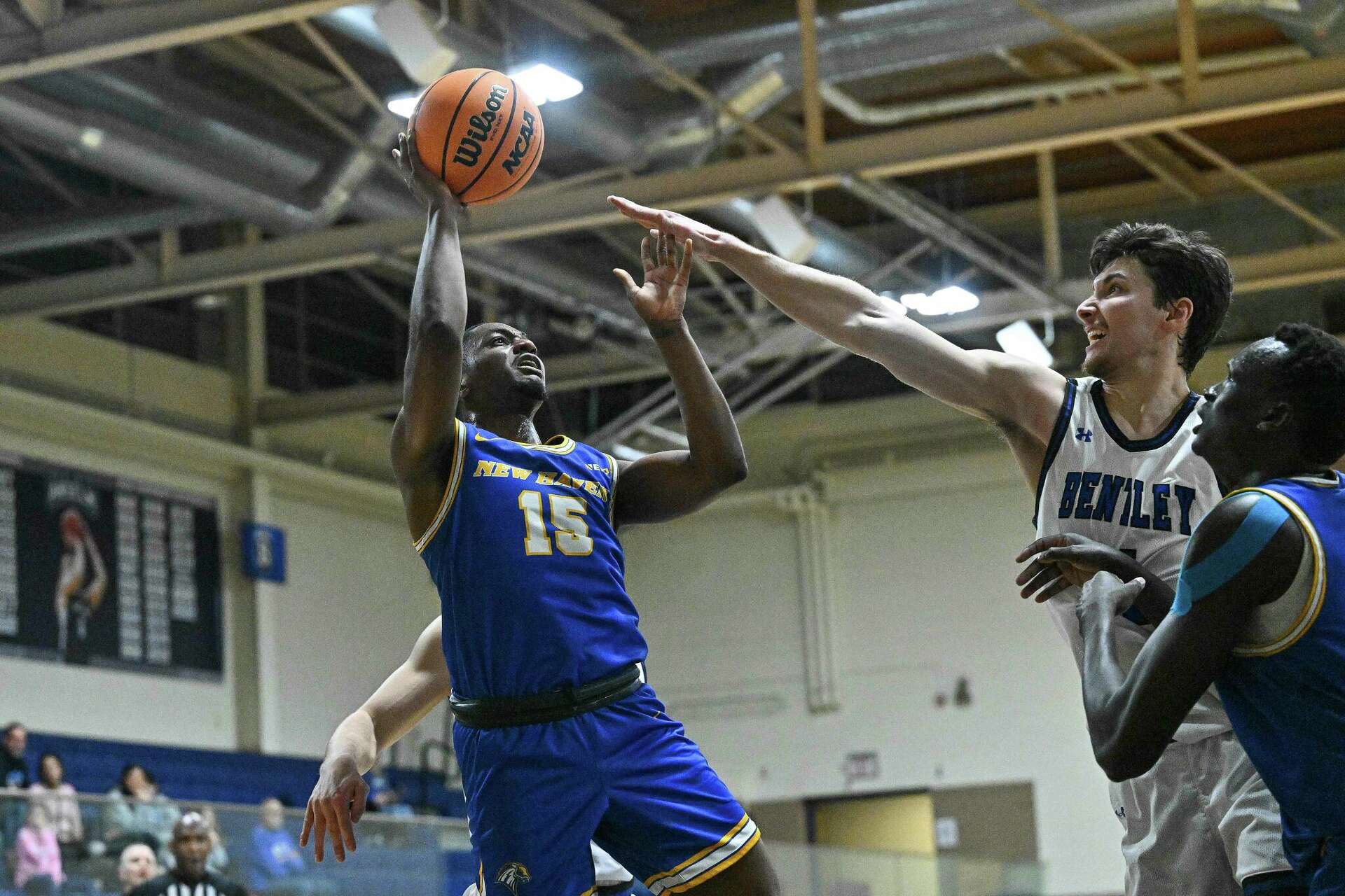 New Haven men's basketball faces West Liberty in Elite Eight