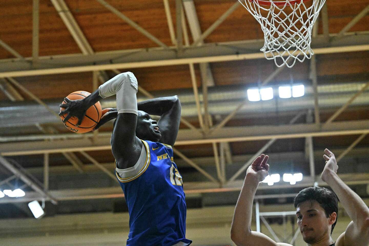 New Haven men's basketball faces West Liberty in Elite Eight