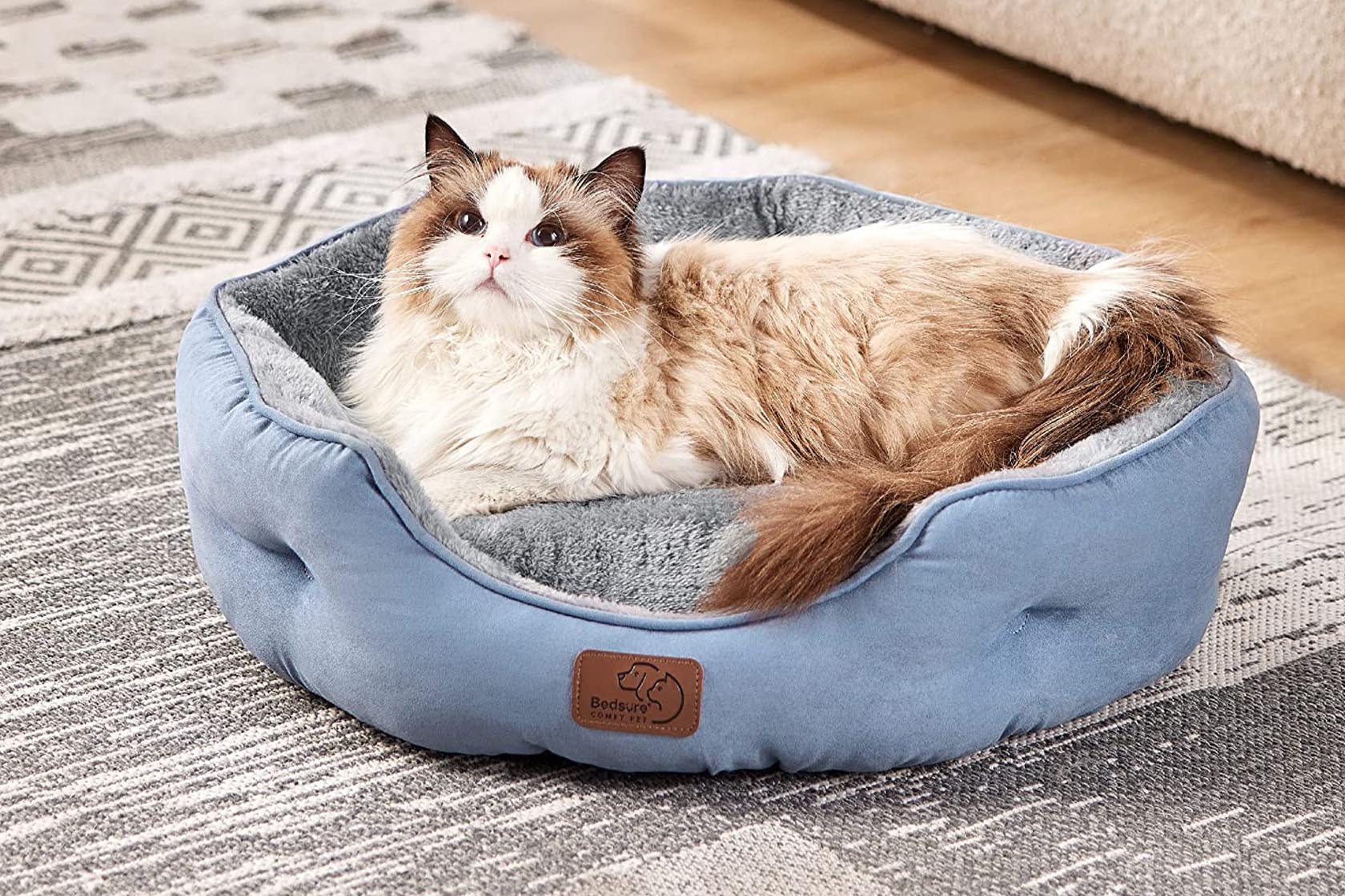 This top-rated small dog bed is less than $20 on Amazon today