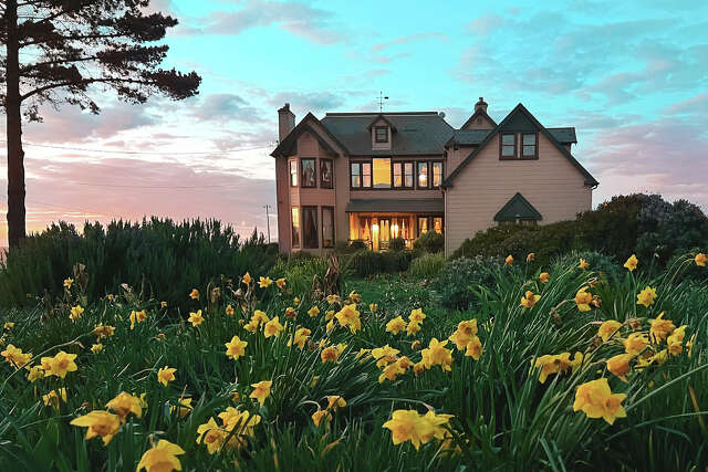 The bloodthirsty fandom of the Bay Area ‘Scream’ house