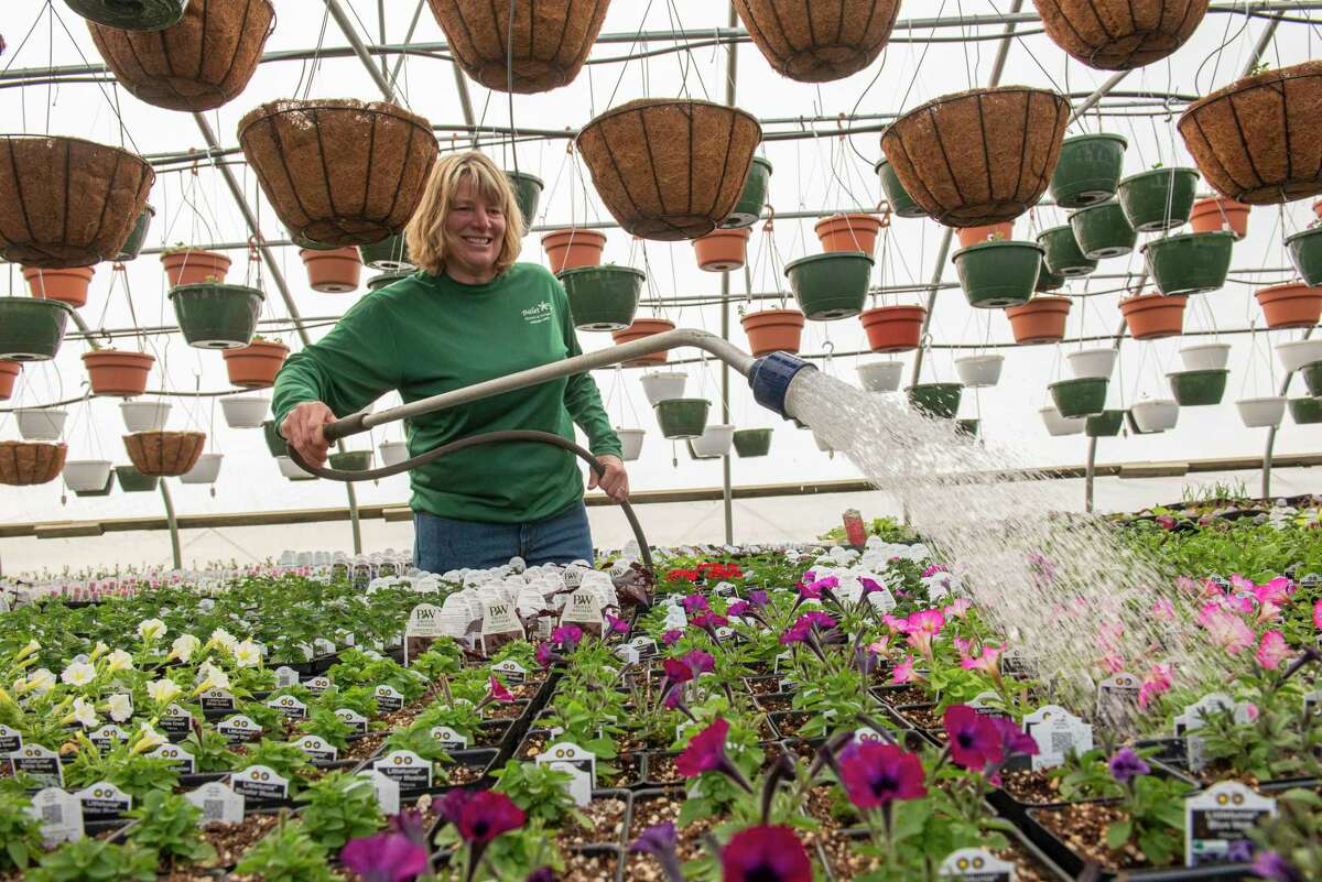 Balet garden nursery in Malta adds barn for classes, bridal services