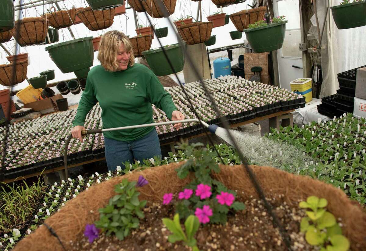 Balet garden nursery in Malta adds barn for classes, bridal services