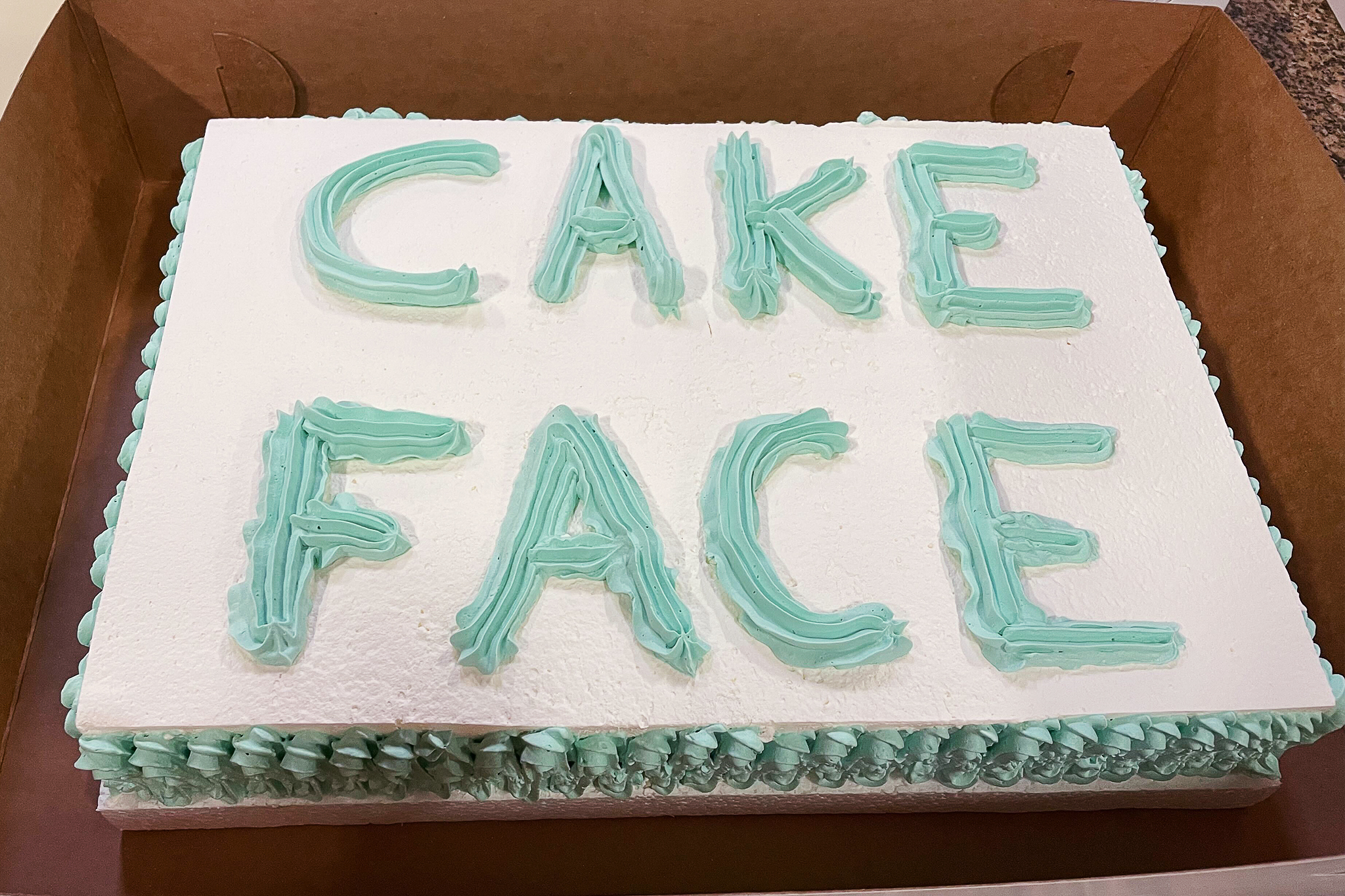 steve aoki cake face