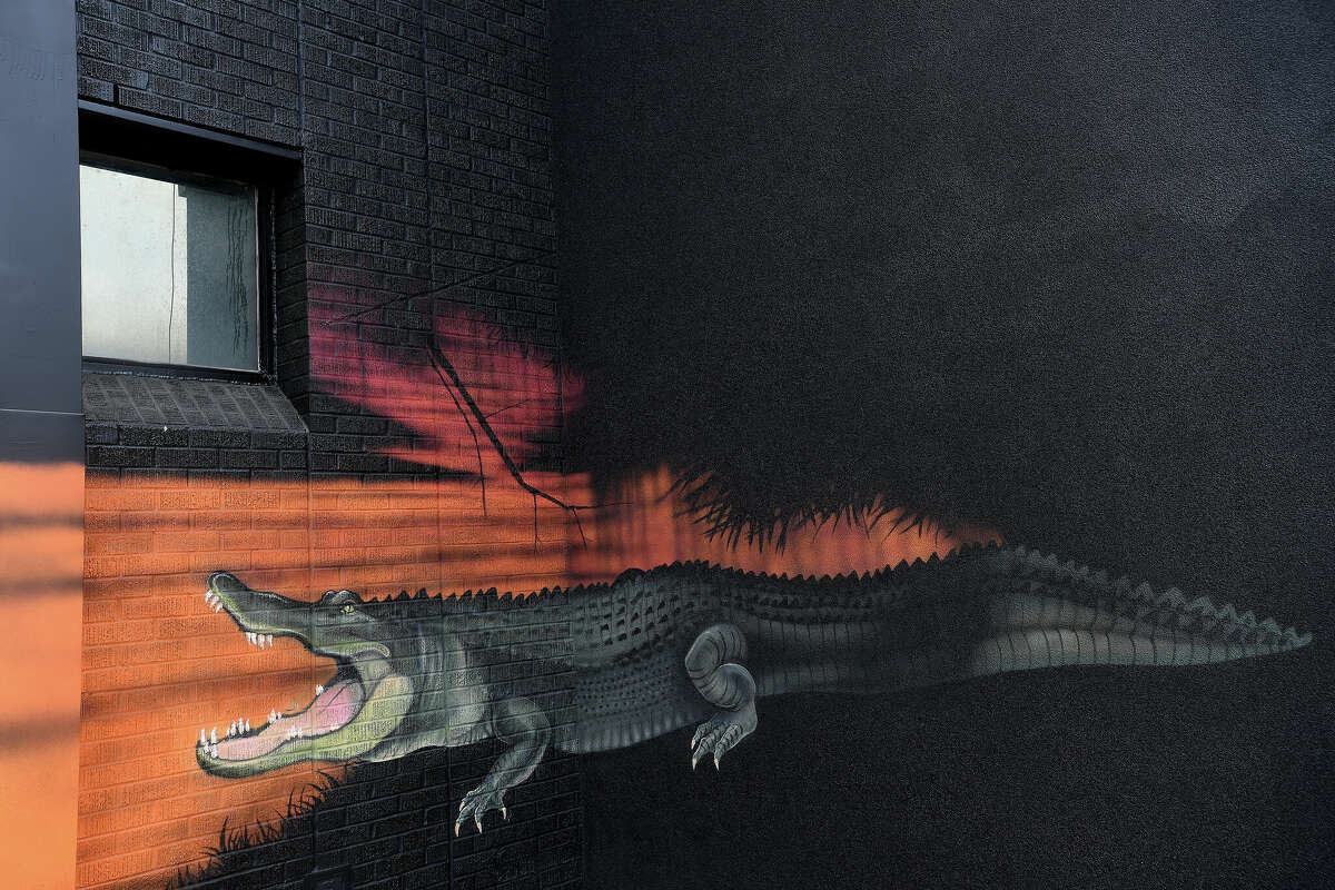 Meghan Cobb's Beaumont landscape mural was a labor of love