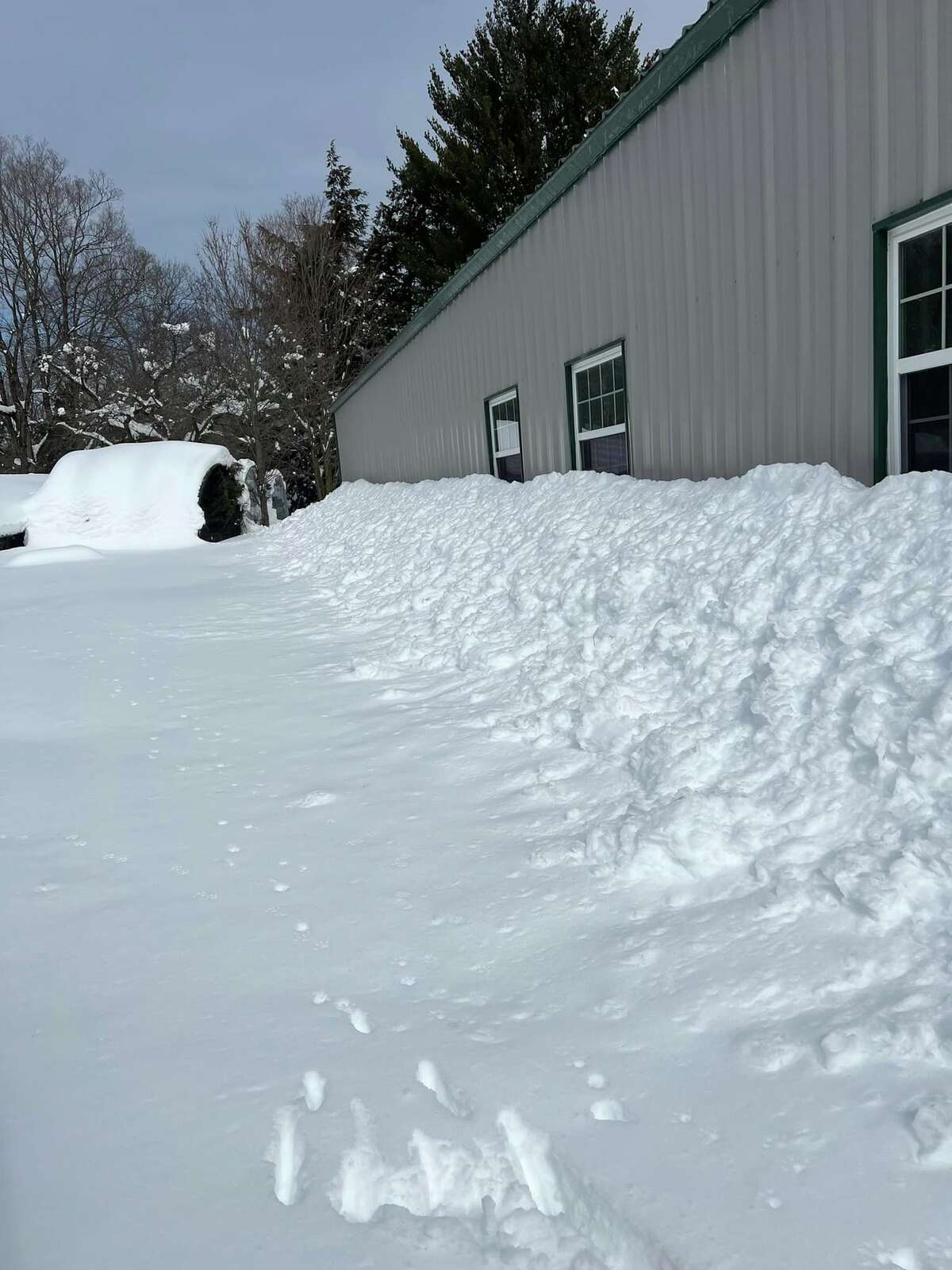 Snow collapsed bald eagle aviary at Grafton bird sanctuary