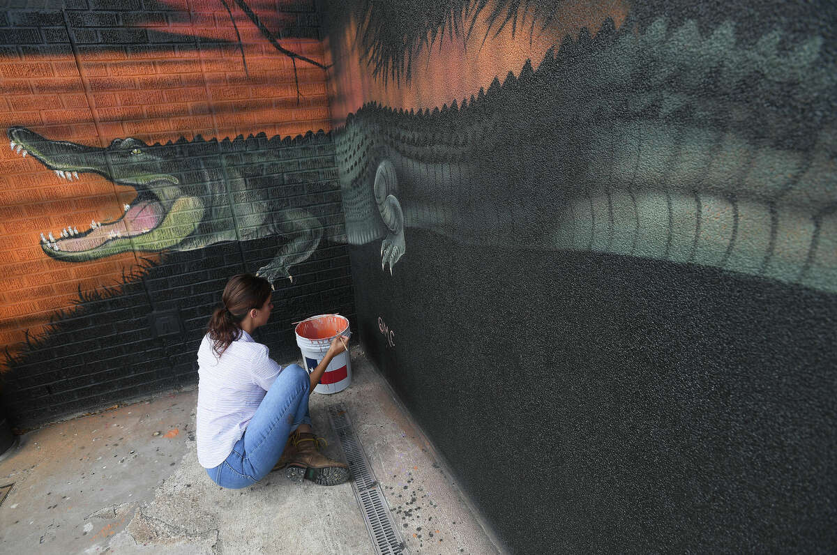 Meghan Cobb's Beaumont landscape mural was a labor of love