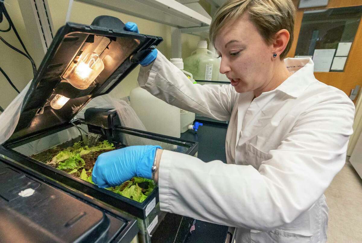 San Antonio's Texas Biomed expanding work
