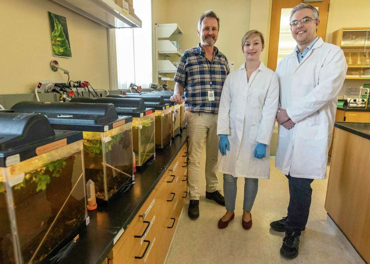 San Antonio's Texas Biomed expanding work