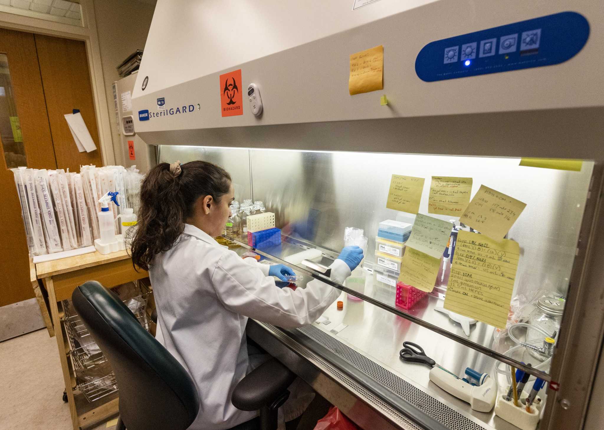 Texas Biomed researchers lead discovery of new COVID antibody