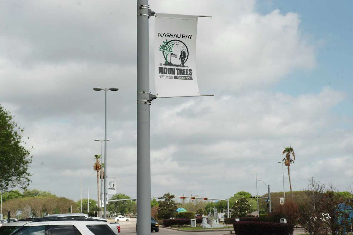 Apollo 14 "Moon Trees" find a home outside Nassau Bay City Hall
