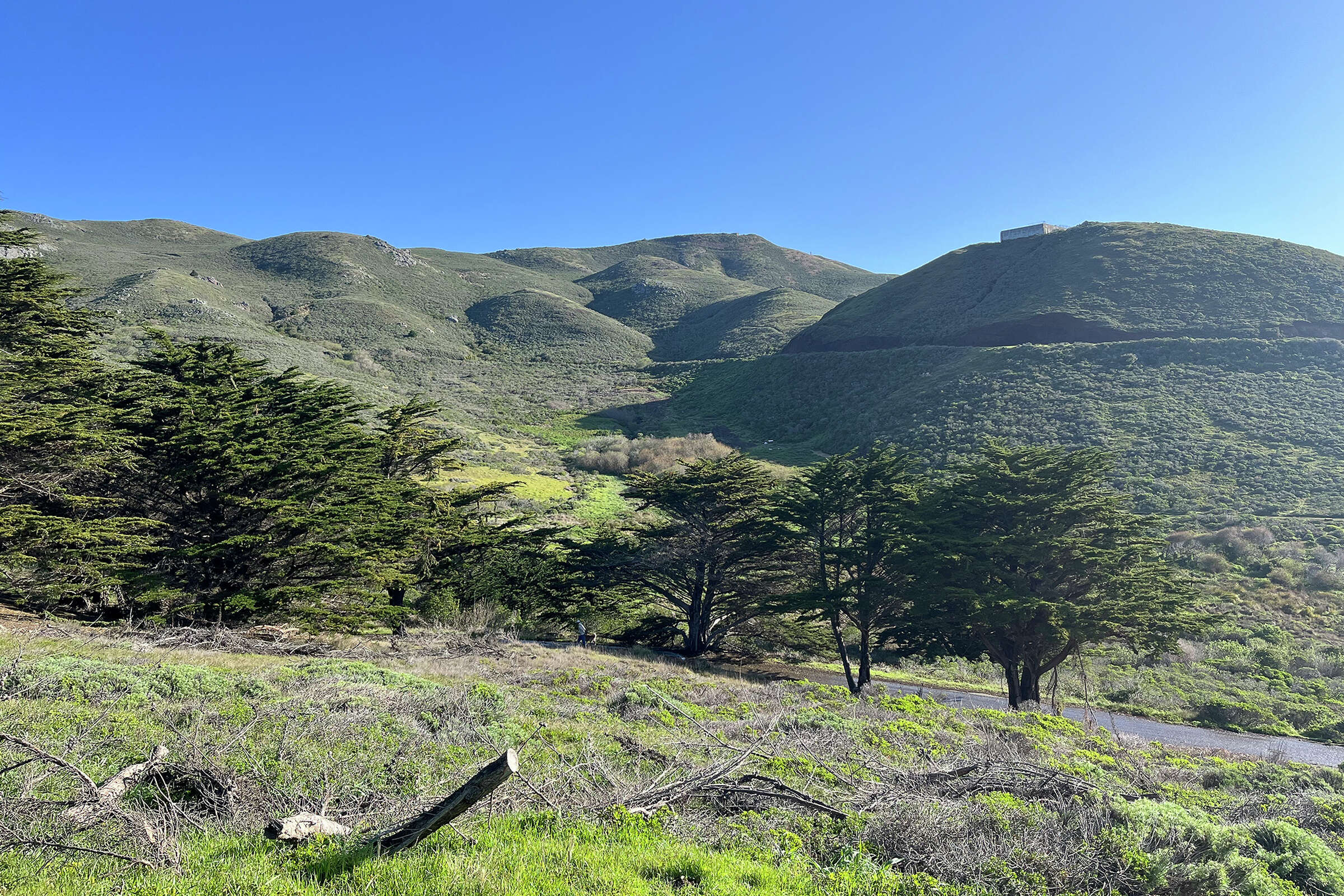 I followed a rumor and hiked to a hidden Bay Area labyrinth