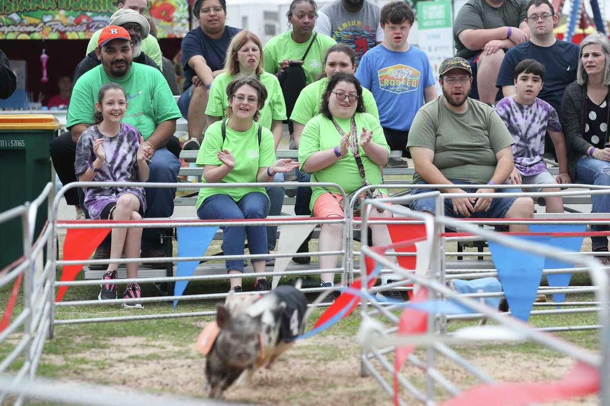 Special students have day to shine at the Montgomery County Fair