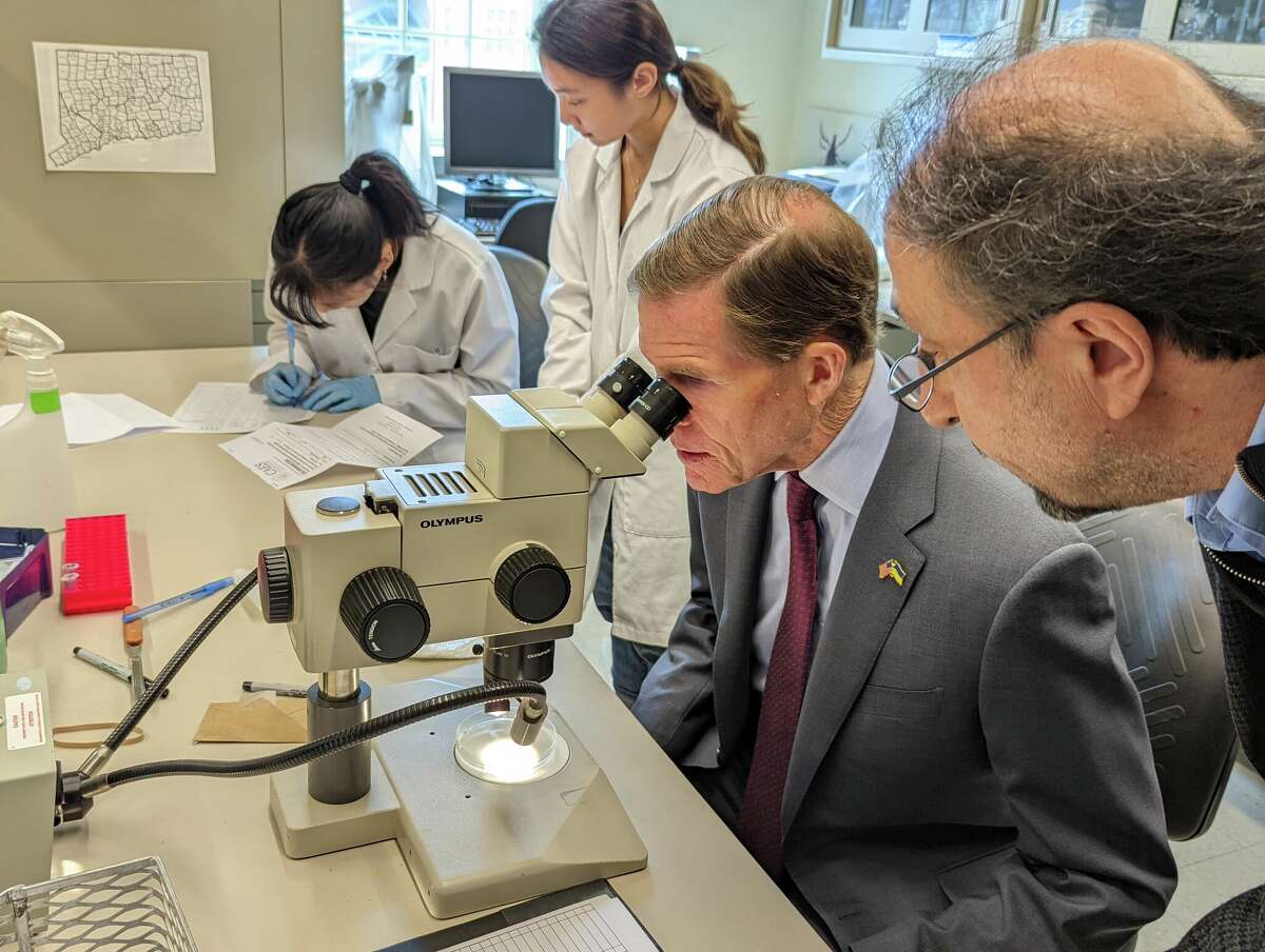 Blumenthal announces funding for tick disease research