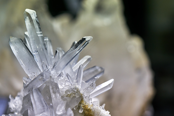 Seeing magic in growing crystals – Slices of life by Jill Pertler