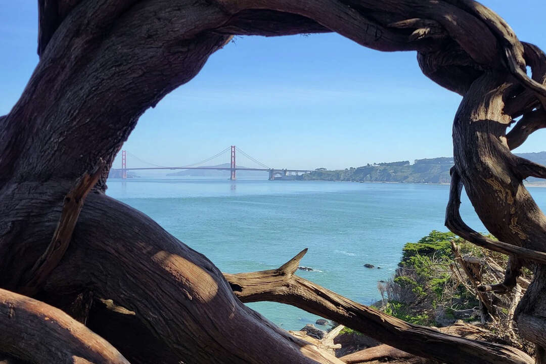 Lands End Trail: An insider's guide to the popular SF trail