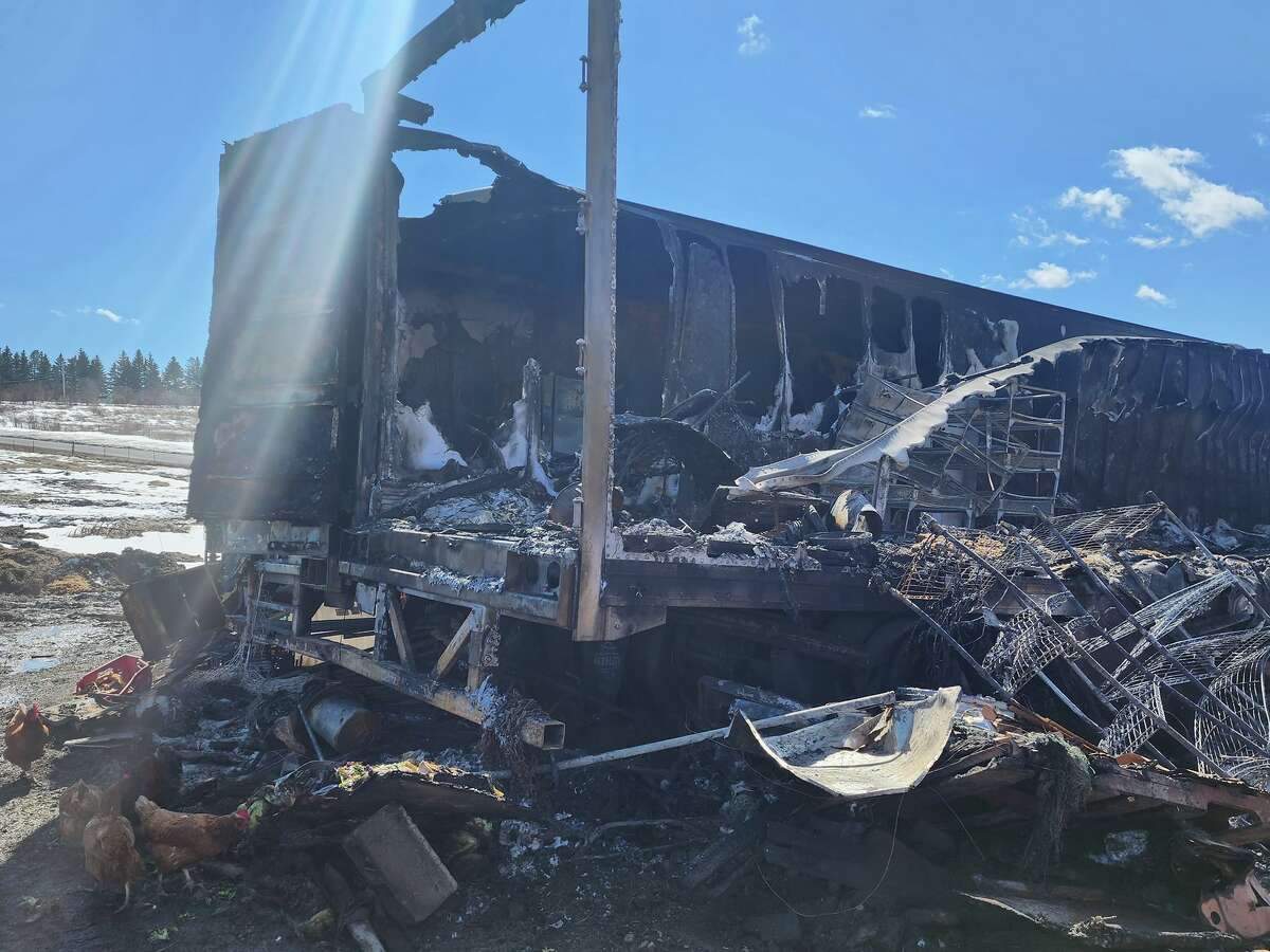 200 chickens, about 50 pigs lost in Duanesburg barn fire