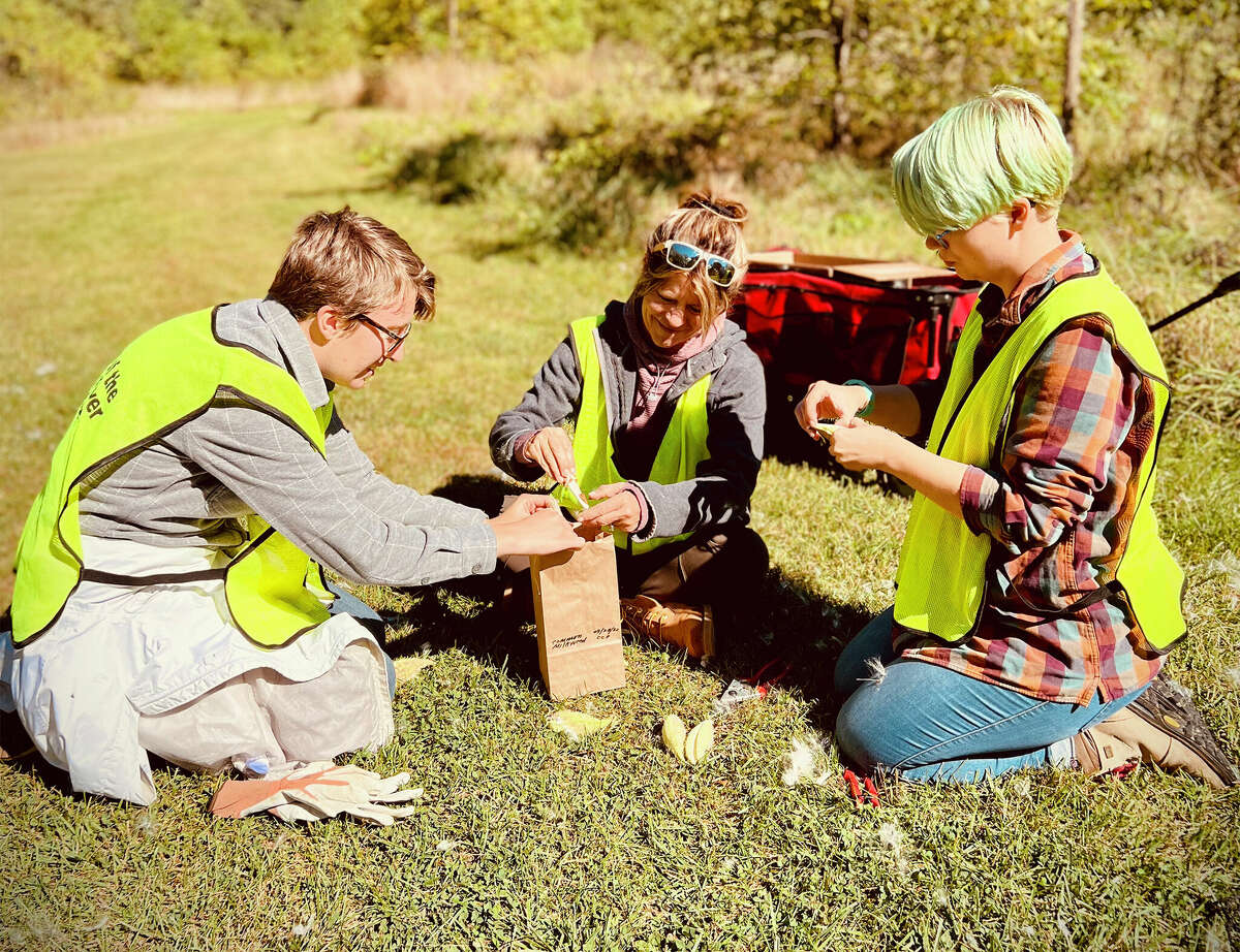 Native plant projects help pollinators across Michigan