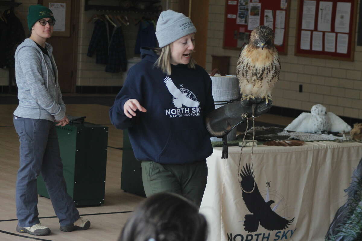 North Sky Raptor Sanctuary visits Manistee school