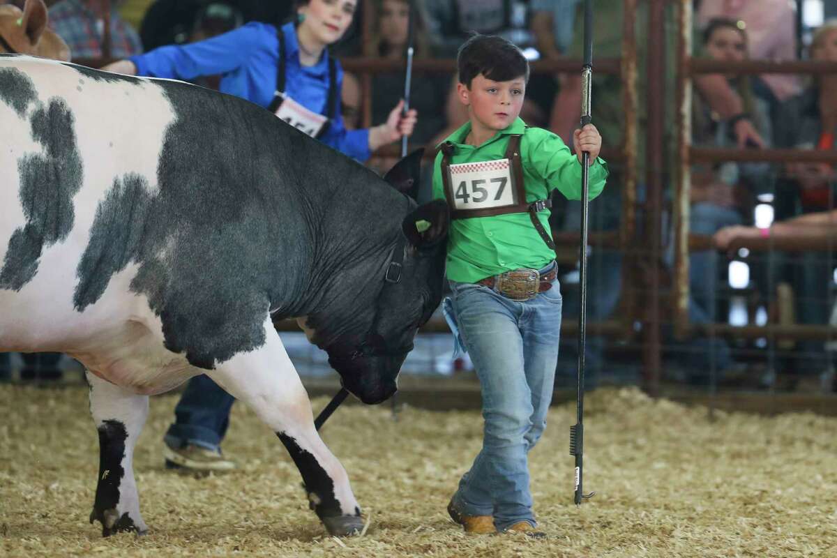 Montgomery 12-year-old wins county fair's Grand Champion Steer show