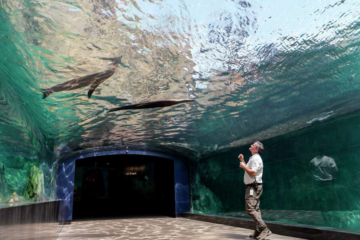 First look at Houston Zoo's completed $70-million 'Galápagos Islands'