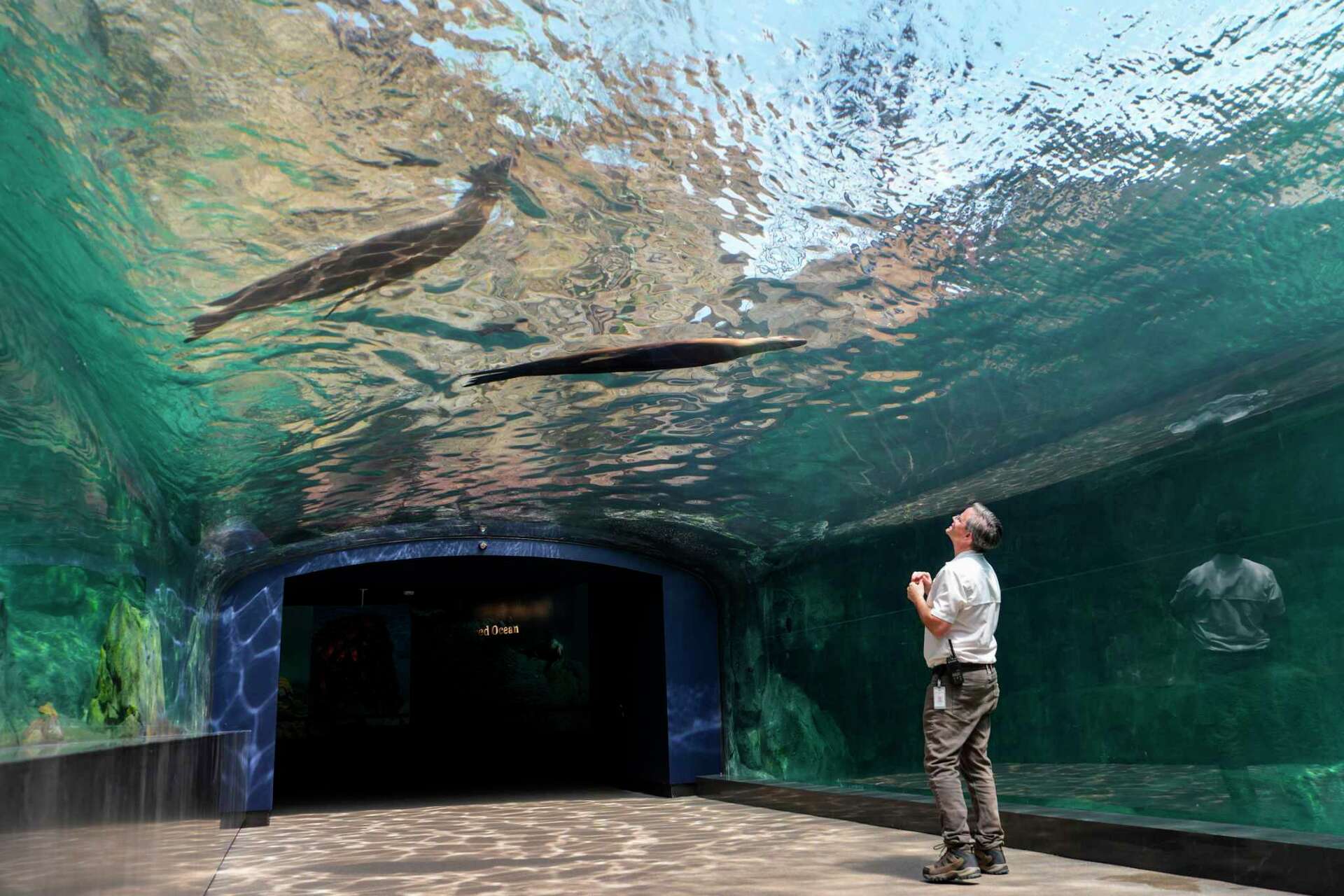 Feast with the Beasts returning to Houston Zoo for adults only