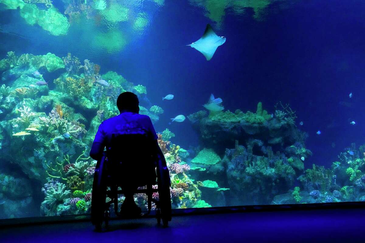 First look at Houston Zoo's completed $70-million 'Galápagos Islands'