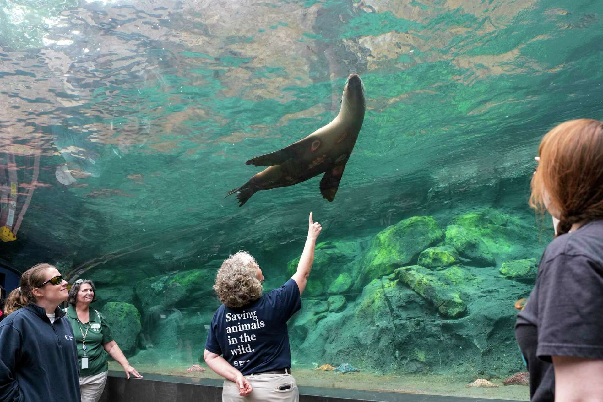 First look at Houston Zoo's completed $70-million 'Galápagos Islands'