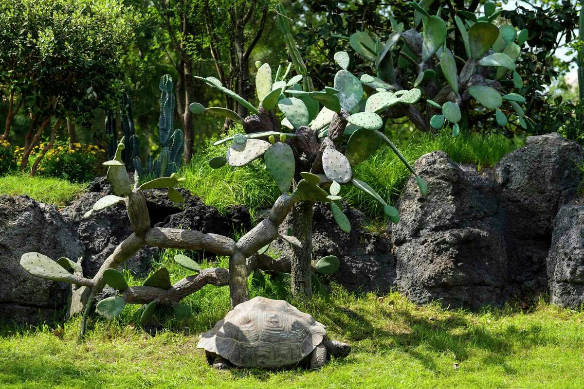 First look at Houston Zoo's completed $70-million 'Galápagos Islands'