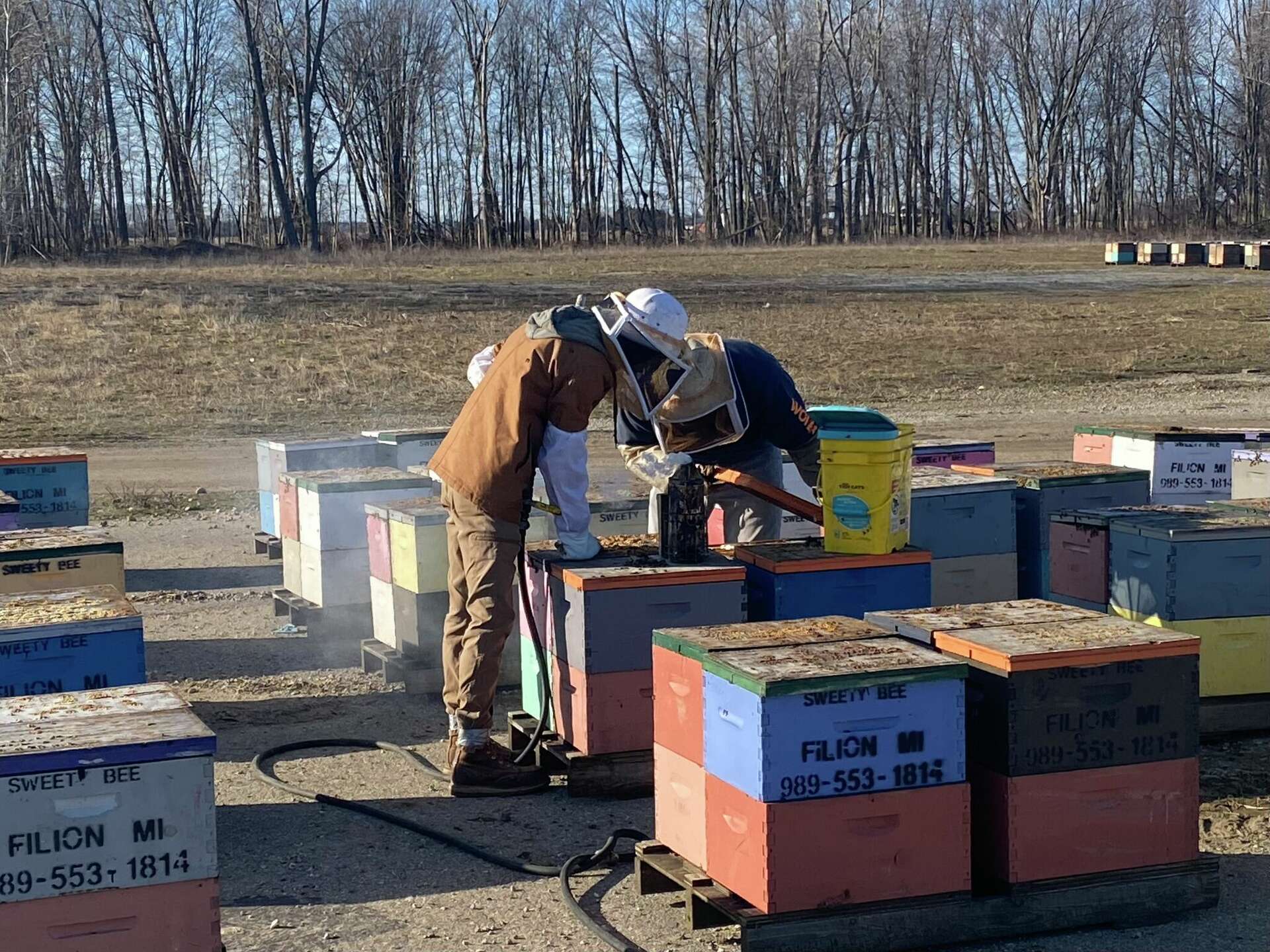 McCoy's Sweety Bee gets a buzzing start to spring