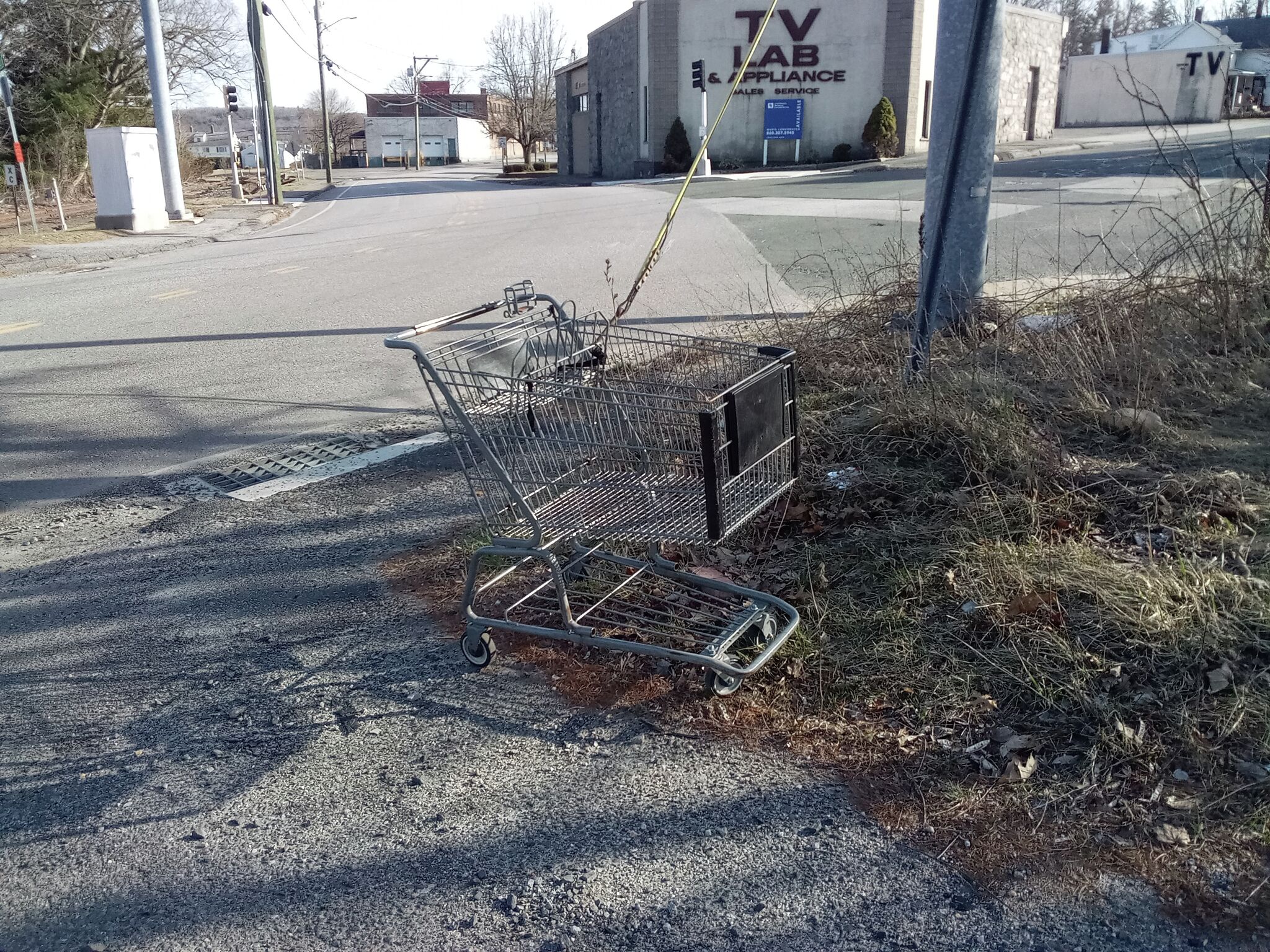 Torrington officials want more input on stray shopping cart rules